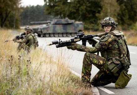 Infantrymen During Zebra Sword Exercise Dutch Editorial Stock Photo ...