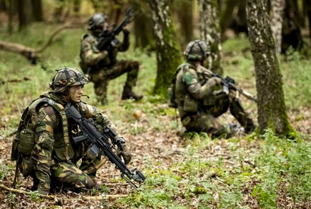 Infantrymen During Zebra Sword Exercise Dutch Editorial Stock Photo ...