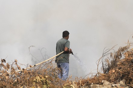 Worker Sprays Water Douse Fire Shrubs Editorial Stock Photo - Stock ...