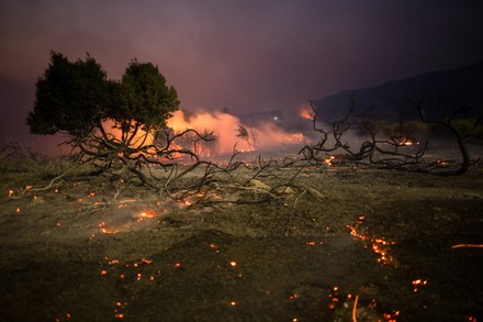 13 Portola fire Stock Pictures, Editorial Images and Stock Photos ...