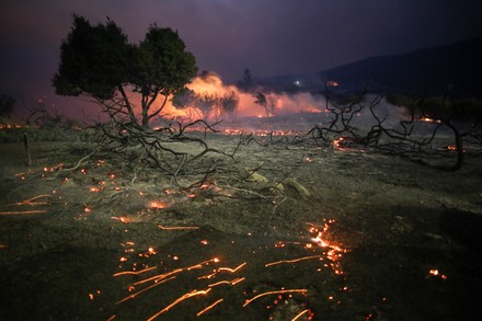 13 Portola fire Stock Pictures, Editorial Images and Stock Photos ...