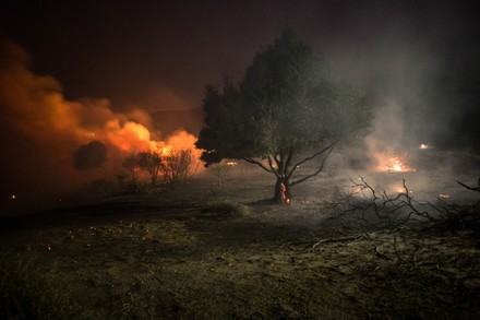 13 Portola fire Stock Pictures, Editorial Images and Stock Photos ...