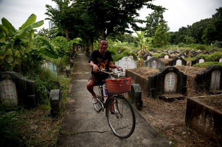 Man Cycles Between Graves Chinese Teochew Editorial Stock Photo - Stock ...
