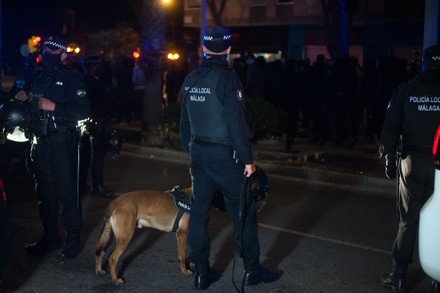 Anti-lockdown protest in Malaga, Spain - 01 Nov 2020 Stock Pictures ...