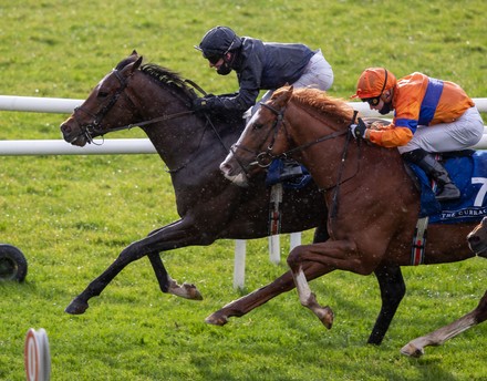 Curragh Racing, Curragh Racecourse, Co. Kildare - 02 Nov 2020 Stock ...