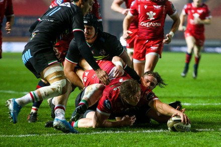 Scarlets Vs Zebre Scarlets Jac Morgan Editorial Stock Photo - Stock ...