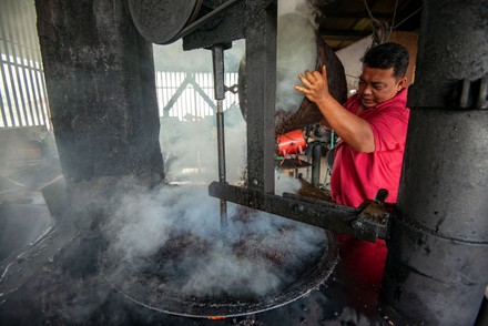 Worker Pours Roasted Coffee Beans Into Editorial Stock Photo - Stock ...