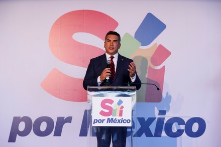 Leader Institutional Revolutionary Party Pri Alejandro Editorial Stock ...
