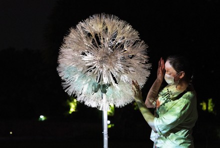 Visitor Poses Photos Dandelion Art Installation Editorial Stock Photo ...