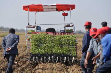 Transplanter Works Demonstration Intelligent Farm Jiangxiang Editorial ...