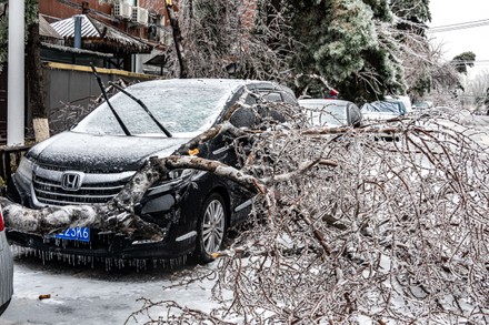 29 Crushed snow Stock Pictures, Editorial Images and Stock Photos ...
