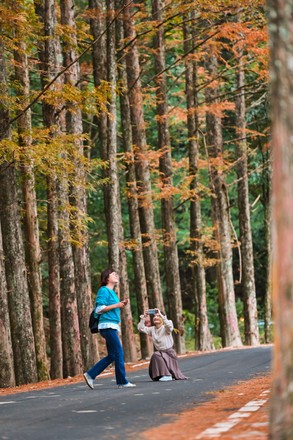 Tourists Visit Path Flanked By Dawn Editorial Stock Photo - Stock Image ...