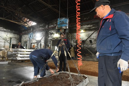 Liquormaker Sun Xiaoyuan R Examines Fermented Editorial Stock Photo ...