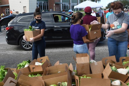 Volunteers Distribute Turkeys Other Food Assistance Editorial Stock ...