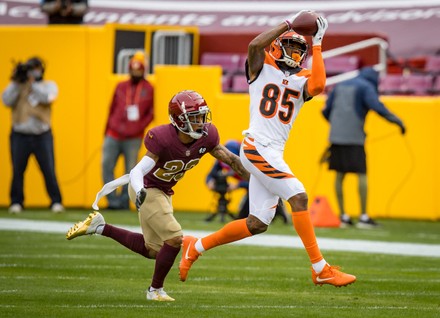 NFL: Cincinnati vs. Washington Football Team, USA - 22 Nov 2020 Stock ...