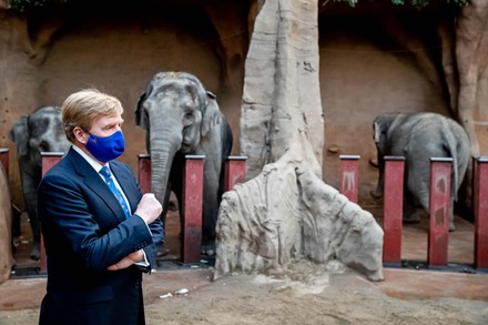king willem alexander visit blijdorp zoo rotterdam : photos de stock ...