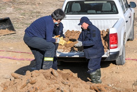 Pyro Technicians Load Unexploded Wwi Ammunition Editorial Stock Photo ...