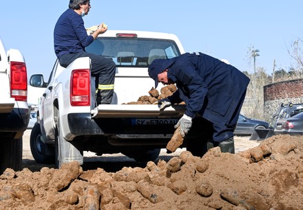 Pyro Technicians Load Unexploded Wwi Ammunition Editorial Stock Photo ...