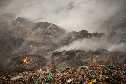 Fire at Ghazipur landfill, New Delhi, India - 25 Nov 2020 Stock ...