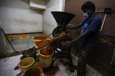 SRI LANKAN WORKER IGRINDING TURMERIC CURCUMA Editorial Stock Photo ...