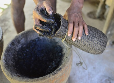 Traditional fishing in Assam, Guwahati, India - 28 Nov 2020 Stock ...