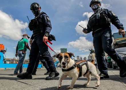 250 Bomb threat response Stock Pictures, Editorial Images and Stock ...