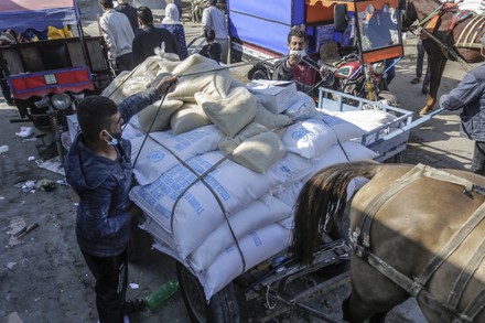 Food distribution in Gaza, Palestine - 30 Nov 2020 Stock Pictures ...