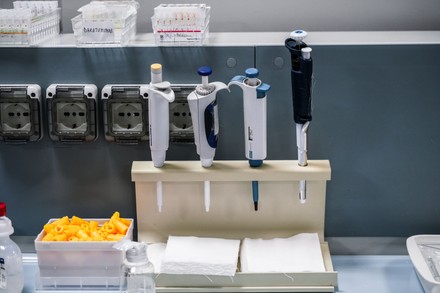 imágenes de The hyperimmune plasma at the SIMT of the Niguarda hospital ...