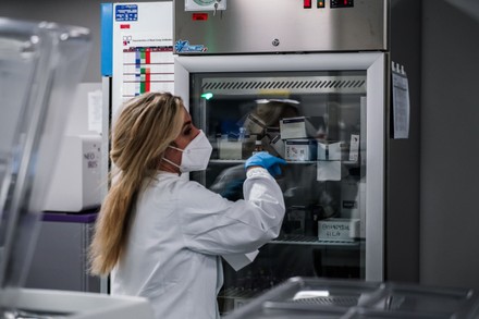 imágenes de The hyperimmune plasma at the SIMT of the Niguarda hospital ...