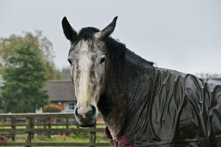 __COUNT__ Seasonal weather, Playhatch, Oxfordshire, UK - 03 Dec 2020 ...