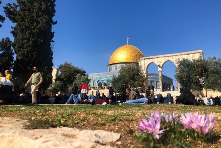 Palestinian Muslim Worshippers Perform Friday Prayer Editorial Stock ...