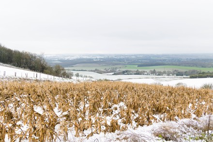 First Snowfall Year Detling Hill Kent Editorial Stock Photo - Stock ...