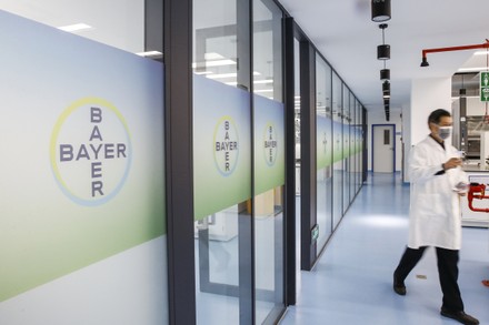 Staff Member Pictured Research Development Center Editorial Stock Photo ...