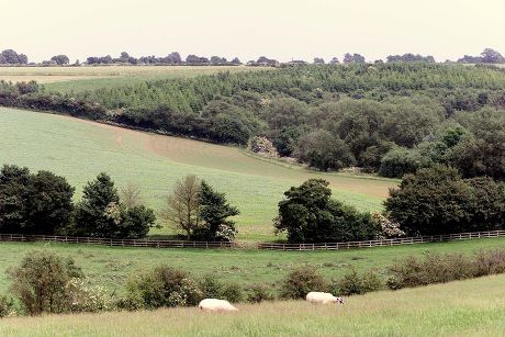 30 Glympton Stock Pictures, Editorial Images and Stock Photos ...
