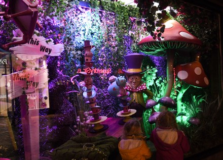 'Fantastic Fiction' window display, York, UK - 06 Dec 2020 Stock ...