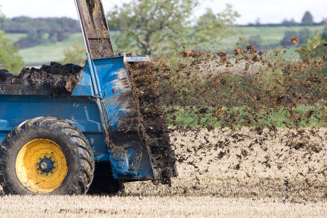 Farm Yard Manure Being Spread On Editorial Stock Photo - Stock Image ...