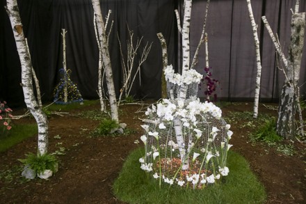 Garden Installation Birch Trees Flowers Exhibited Editorial Stock Photo ...
