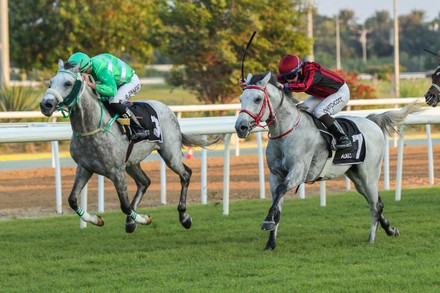Horse Racing, Abu Dhabi, United Arab Emirates - 13 Dec 2020 Stock ...