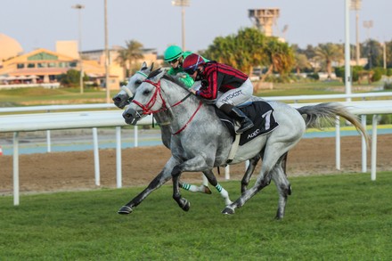 Horse Racing, Abu Dhabi, United Arab Emirates - 13 Dec 2020 Stock ...