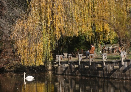 Autumn in Istanbul, Turkey - 09 Dec 2020 Stock Pictures, Editorial ...