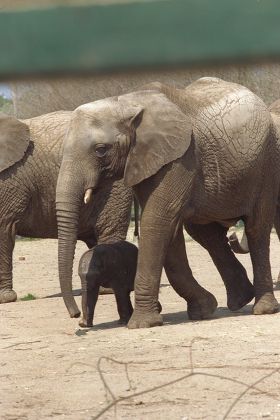 52 Paren Stock Pictures, Editorial Images and Stock Photos | Shutterstock