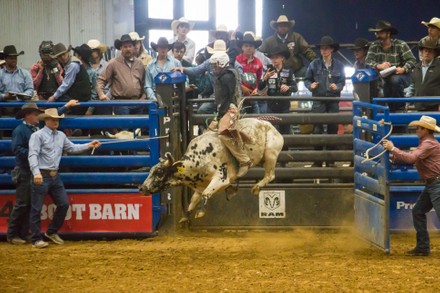 Junior Cowboy Competes 2020 World Finals Editorial Stock Photo - Stock ...