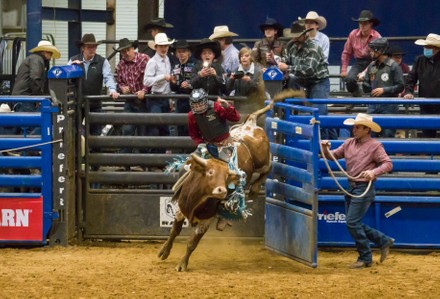 Junior Cowboy Competes 2020 World Finals Editorial Stock Photo - Stock ...