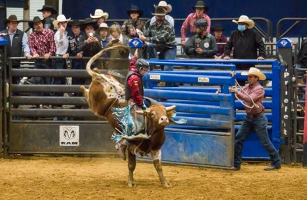 Junior Cowboy Competes 2020 World Finals Editorial Stock Photo - Stock ...