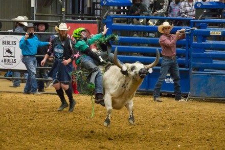 Junior Cowboy Competes 2020 World Finals Editorial Stock Photo - Stock ...