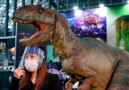 Dino-A-Live dinosaurs show, Tokyo, Japan - 10 Dec 2020 Stock Pictures ...