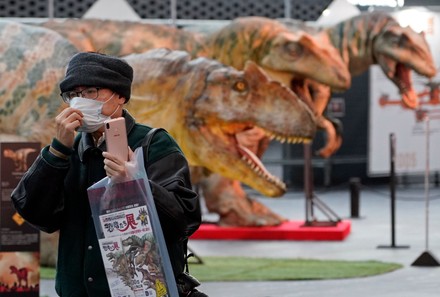 Dino-A-Live dinosaurs show, Tokyo, Japan - 10 Dec 2020 Stock Pictures ...