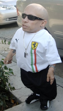 Verne Troyer aka Mini Me in Beverly Hills, Ca, California, USA - 29 Jan ...