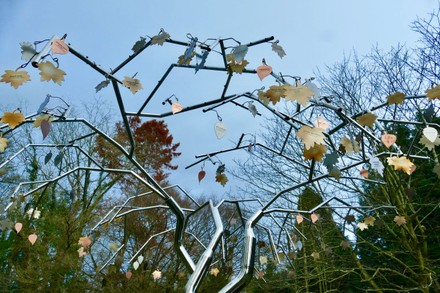 Sands Memorial Tree, Ray Mill Island, Berkshire, UK - 15 Dec 2020 Stock ...