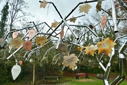 Sands Memorial Tree, Ray Mill Island, Berkshire, UK - 15 Dec 2020 Stock ...